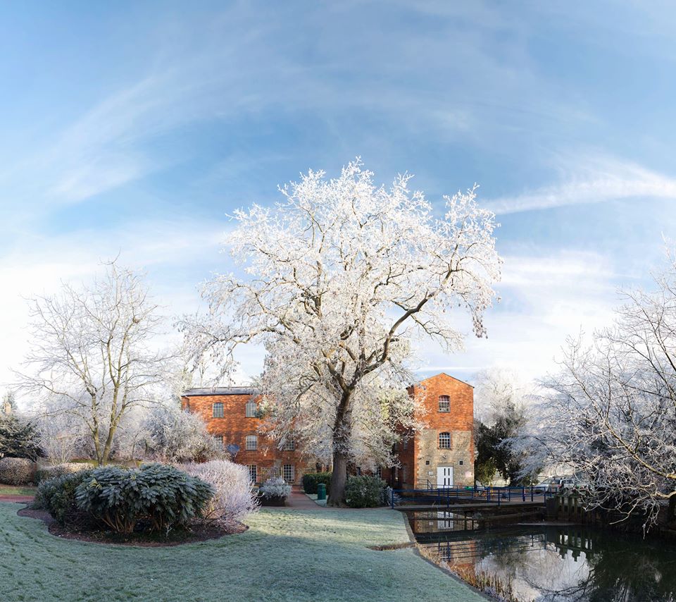 University of Buckingham - Bachelor's Degree - APPLYWAVE